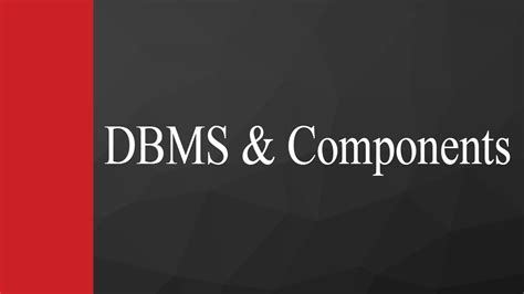 What Is Dbms And Its Components In Urdu Hindi Youtube