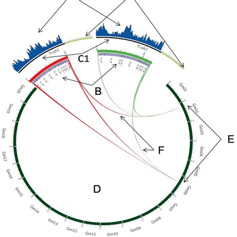 Molecular Characterization Of Transgenic Events By Traditional And