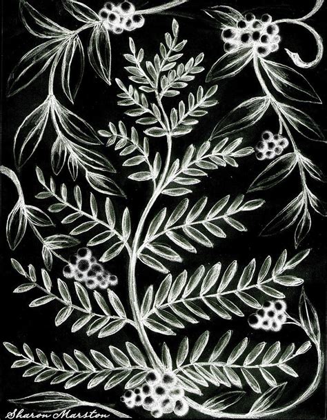 Frost Drawing At PaintingValley Com Explore Collection Of Frost Drawing