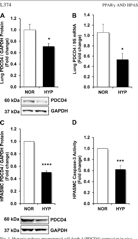 Figure 1 From Peroxisome Proliferator Activated Receptor γ Enhances Human Pulmonary Artery