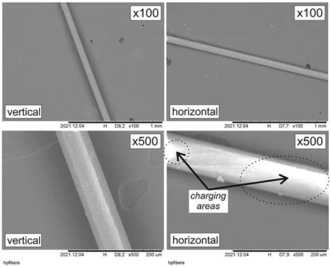 Harnessing Electron Microscope For Trace Evidence Analysis Intechopen