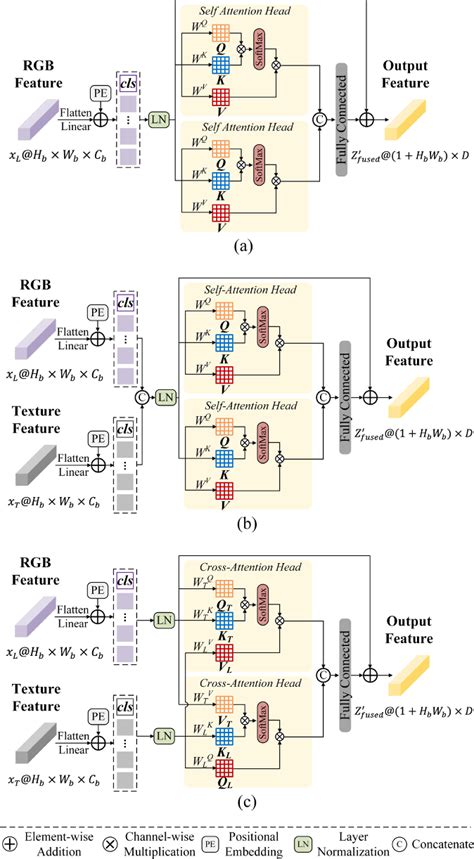 figure 1 from attention rectified and texture enhanced cross attention