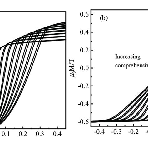 Iterative Procedure For The Total Magnetization M Download Scientific Diagram