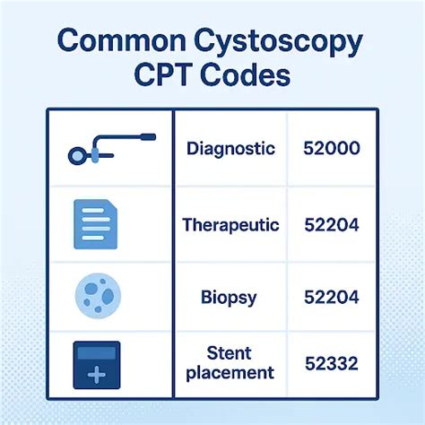 Cystoscopy Cpt Codes Guide For Billing Cadence Collaborative