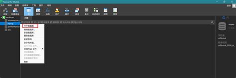 Navicat For Mysql使用navicat For Mysql用法 Csdn博客