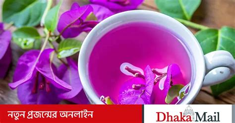 বাগানবিলাসের চা পানে শরীরে যা ঘটবে