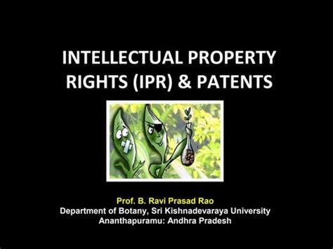 Ipr Neem Patent Ppt