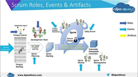 Scrum Roles Events And Artifacts Apex Hours