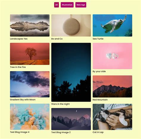 Whats A Filterable Gallery And How To Create One In Divi