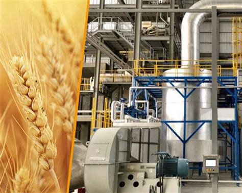 Detail Of The Production Process Of Wheat Starch