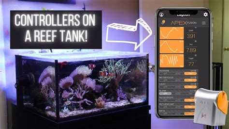 Aquarium Controllers Are They Useful Checking Out My Apex Controller