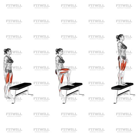 Step Up Guide Techniques Benefits How To Muscles Worked Tips And Tricks Fitwill