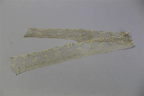 Border Unknown Vanda Explore The Collections