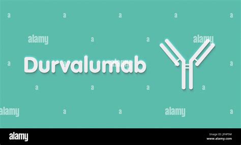 Durvalumab Monoclonal Antibody Drug Targets Programmed Cell Death