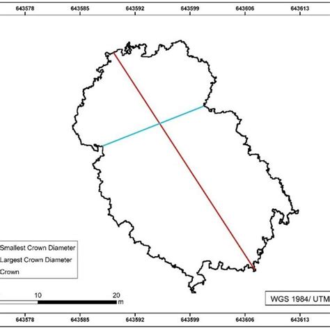 Example Of A Sample Of The Average Tree Crown Diameter Cd Obtained By Download Scientific
