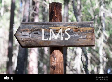 Abbreviation Of Learning Management System Word Lms Writing On The