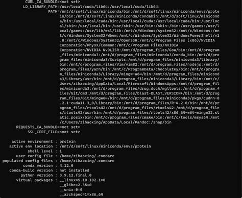 Can T Install Packages In New Conda Environment Except Base Environment