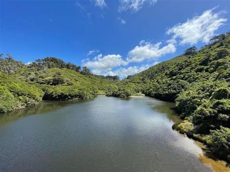 Danielle Mcbride On Linkedin Nativeplants Reforestation Climateaction Regeneration