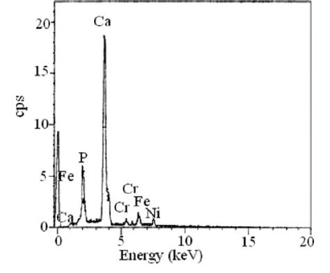 Energy Dispersive X Ray Analysis Spectrum Of Hap Coated 316l Ss