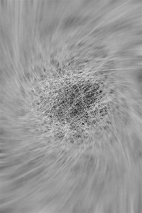 Concentration Distortion Of Space Highlighted Focus Blurring Of The