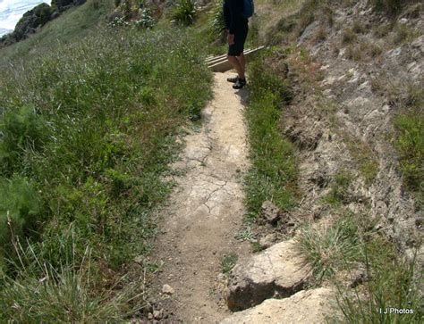 Freespirit Oh Dearshould Have Heeded The Signs