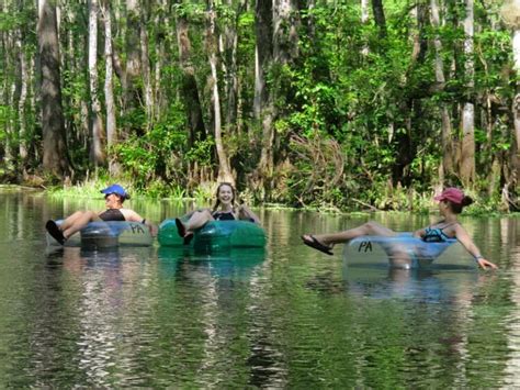 Ichetucknee Springs Tubing Amazing Only In Florida Experience