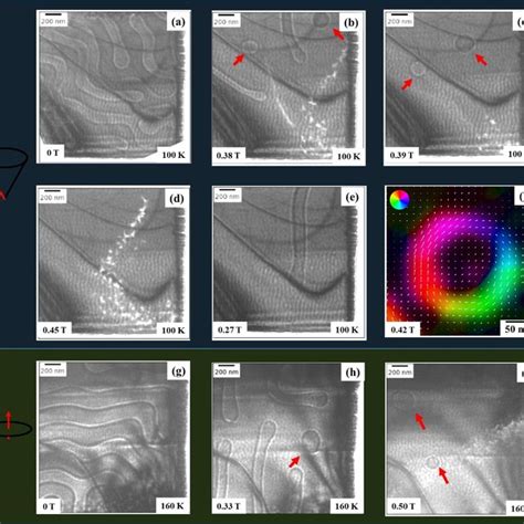 Characterization Of The Spin Texture With L Tem And Off Axis Electron