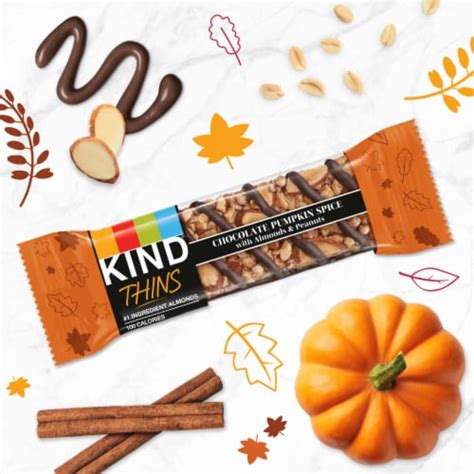 Kind Thins Chocolate Pumpkin Spice Fruit And Nut Bars 10 Ct Ralphs