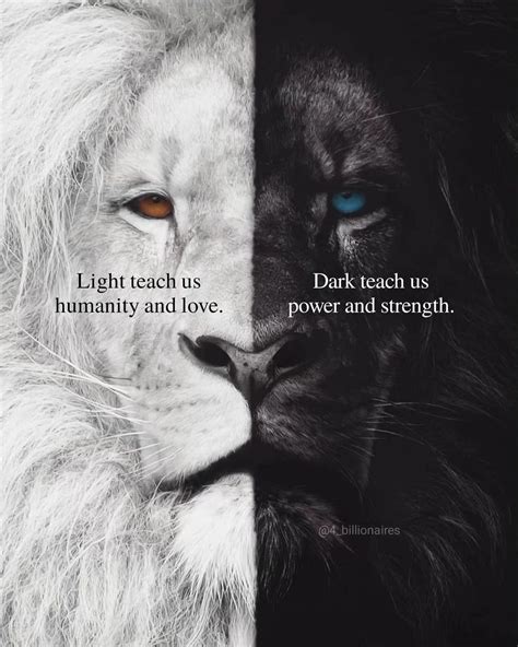 Shaheryar Khan Posted On Linkedin