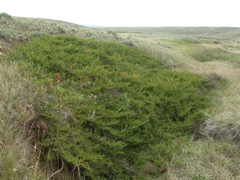 PSE Lab Quiz Flashcards Quizlet