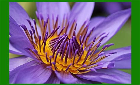 Erp Software Barcode And Rfid Technology