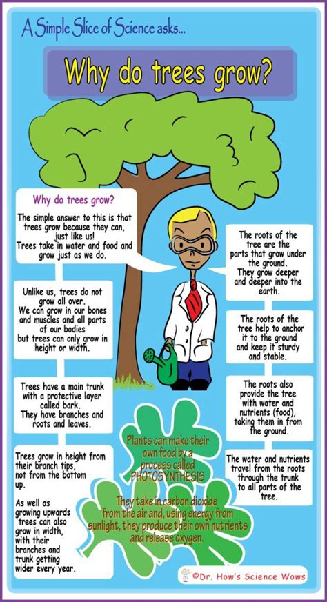 Image Result For Trees Are The Answer