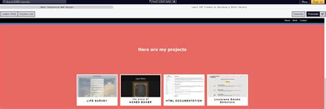 Flexbox In Fcc Vs Codepen Html Css The Freecodecamp Forum