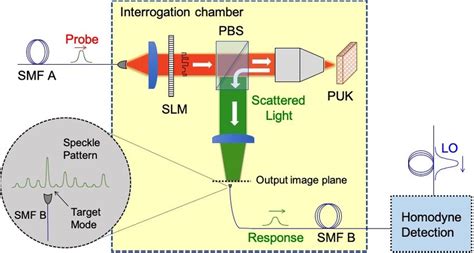 Schematic Representation Of The Set Up For The Eap Under Consideration Download Scientific