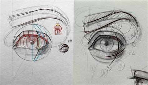Проверка ДЗ на курсе Портрет карандашом Рисовать Рисование Наброски