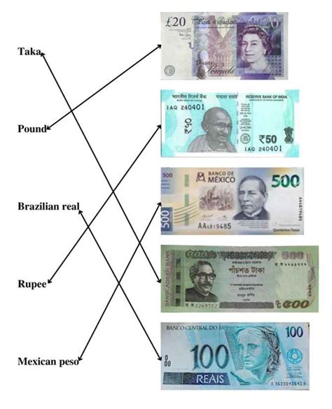 Currency Notes Orchids International School