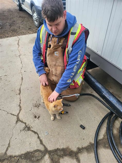 Bert Grimmon Electric Inc Edmonton Ab