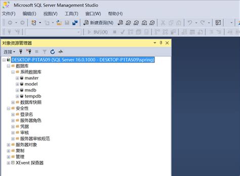 SQL Server Management Studio中文版