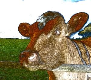 Non Photorealistic Rendering Using OpenCV Python C LearnOpenCV