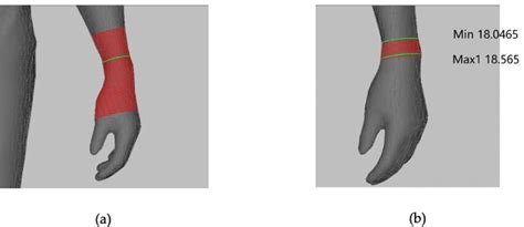 Definition Of Min And Max Of Case III Download Scientific Diagram