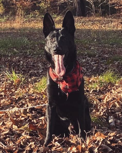 Blake Cornwell Cornwell8414 • Instagram Photos And Videos