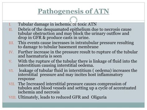 Acute Tubular Necrosis Pptx