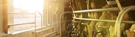 April Newsletter New Initiatives To Support Our Agritech Ecosystem