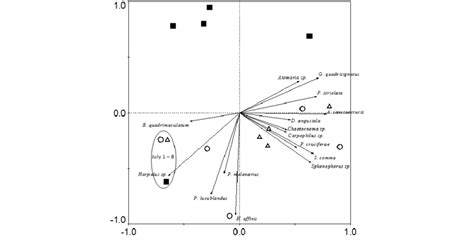 Principle Component Analysis Biplot Of Beetle Species And Plot Type For