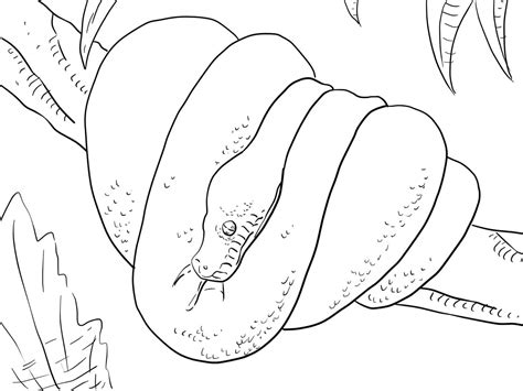 Paginasparacolorirpython