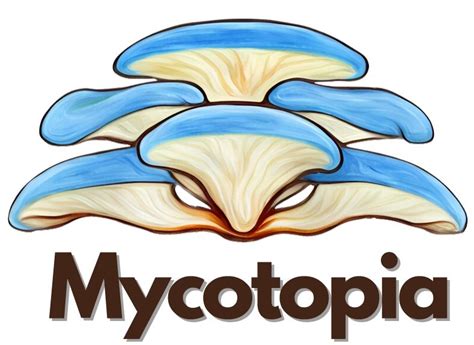 Mycotopia Medicinal And Gourmet Mushrooms
