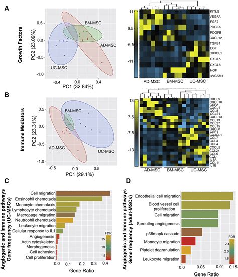 Integrated Transcriptome Proteome Analyses Of Human Stem Cells Reveal