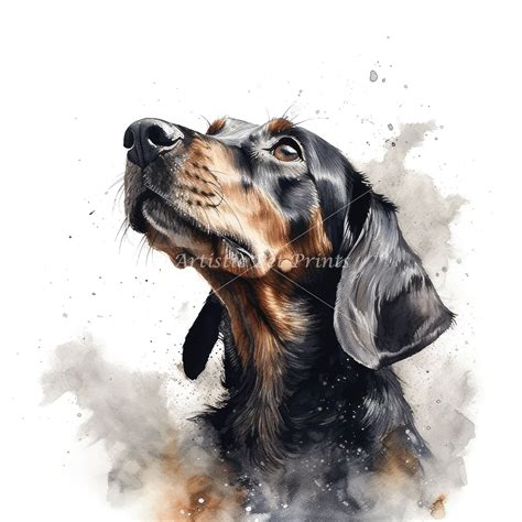 Dachshund Clipart Black And Tan 10 High Quality Watercolor Etsy Uk
