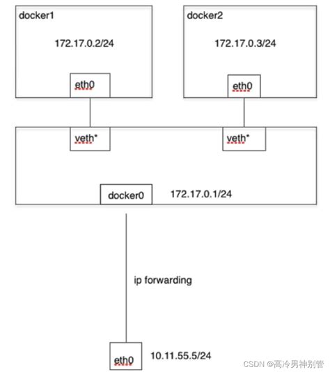 Docker网络配置docker Host网络 Csdn博客