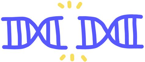 Double Strand Break Dsb Innovative Genomics Institute Igi